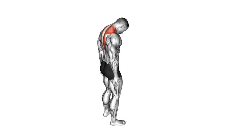 Forward Flexion Neck Stretch - ManiacMuscle