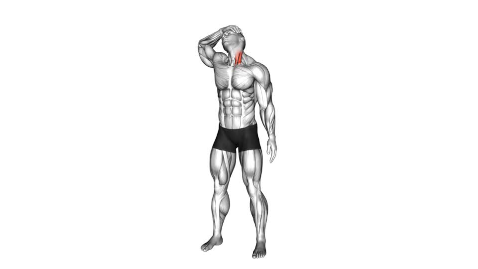 Neck Flexor And Rotational Stretch - ManiacMuscle