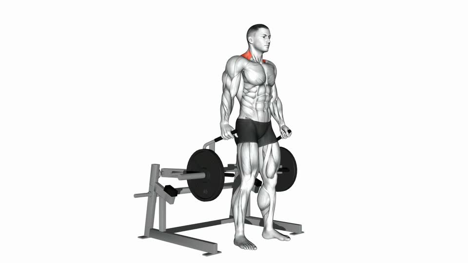 Lever Shrug (Plate-Loaded Machine Shrug) - ManiacMuscle