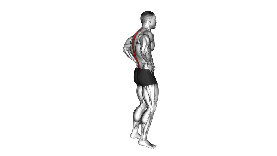 Standing Pelvic Tilt - ManiacMuscle